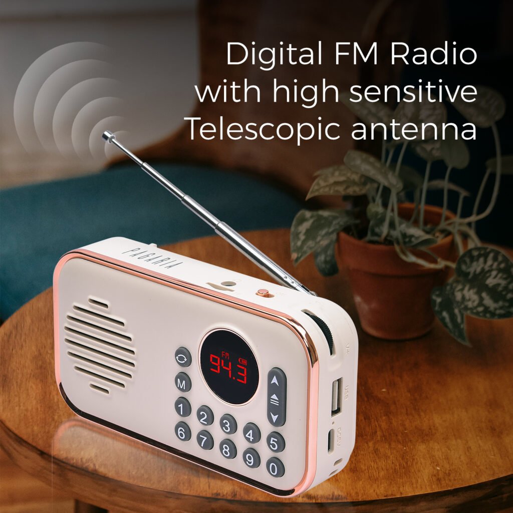 Pagaria Pocket FM Radio, 5 Watts with Bluetooth / USB / TF, Type C ...
